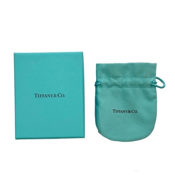 Tiffany & Co. | Bags | Tiffany Co Turquoise Box And Pouch Set | Poshmark